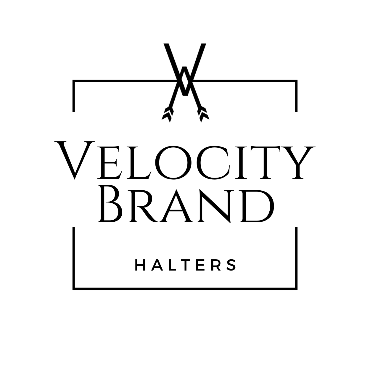 Velocity Performance Products logo